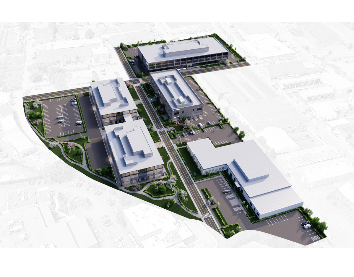 quad-rendering - The Quad